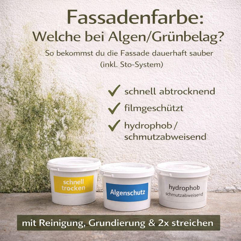 Fassadenfarbe Gegen Algen Und Pilze